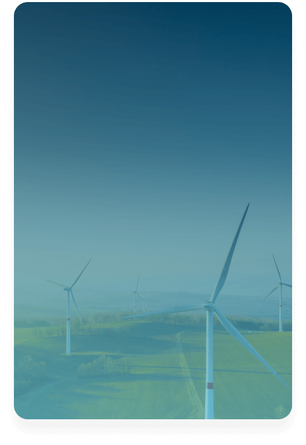 References - Nomentia